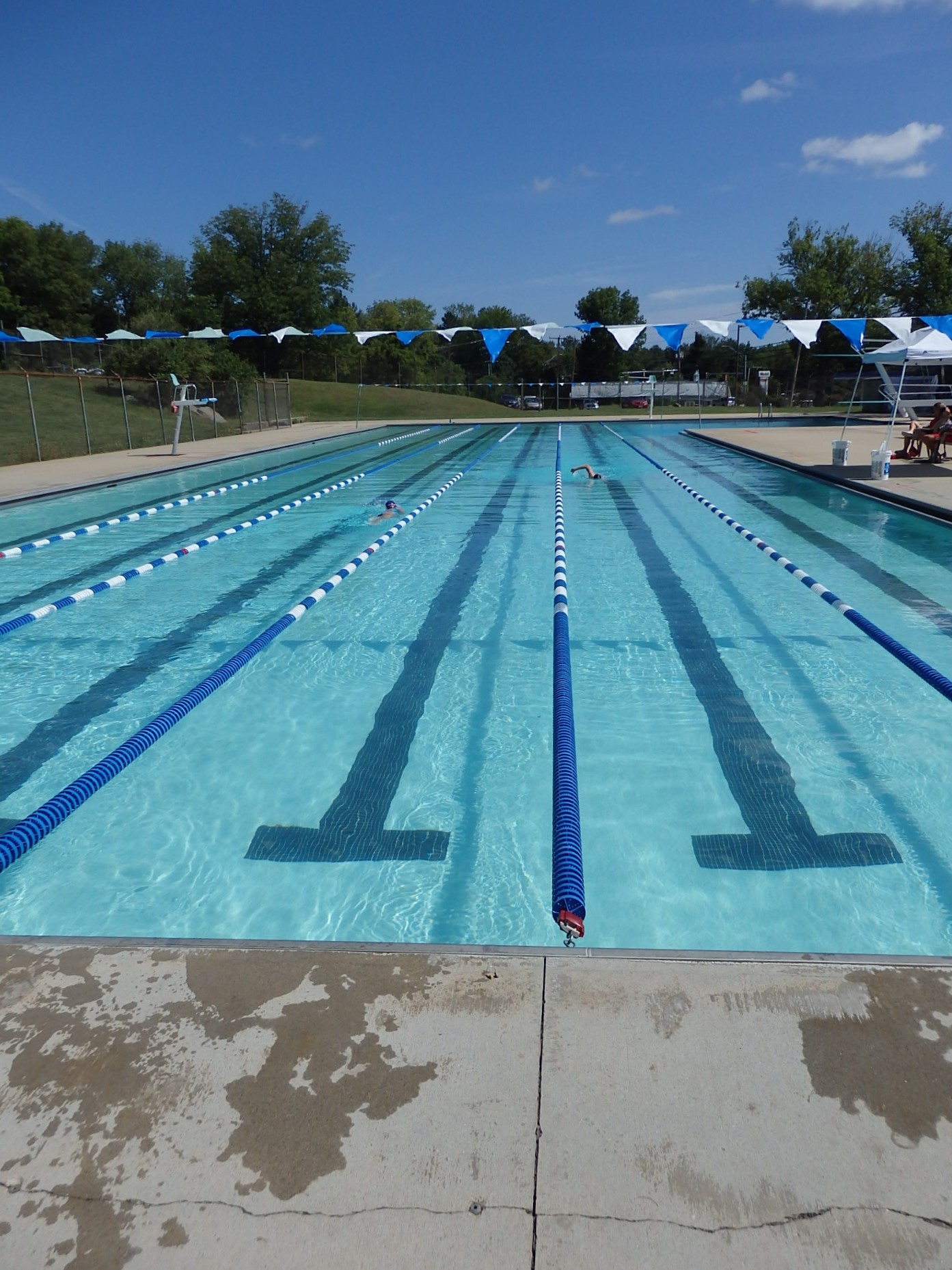 Ten facts about the Jenny Thompson outdoor pool – Jnana's Red Barn
