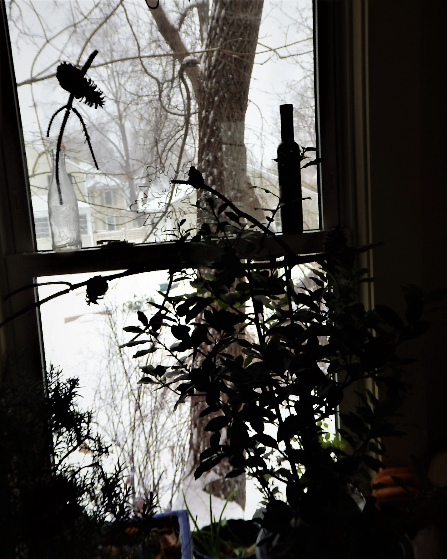 Winter windows – Jnana's Red Barn