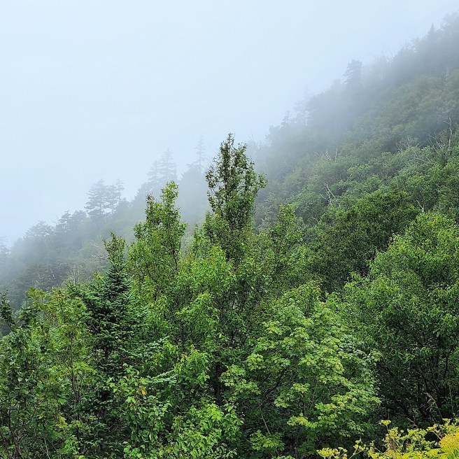 Happy Gap – Jnana's Red Barn