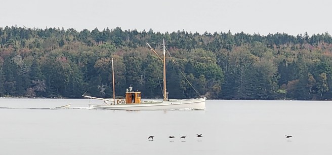 On Eggemoggin Reach – Jnana's Red Barn