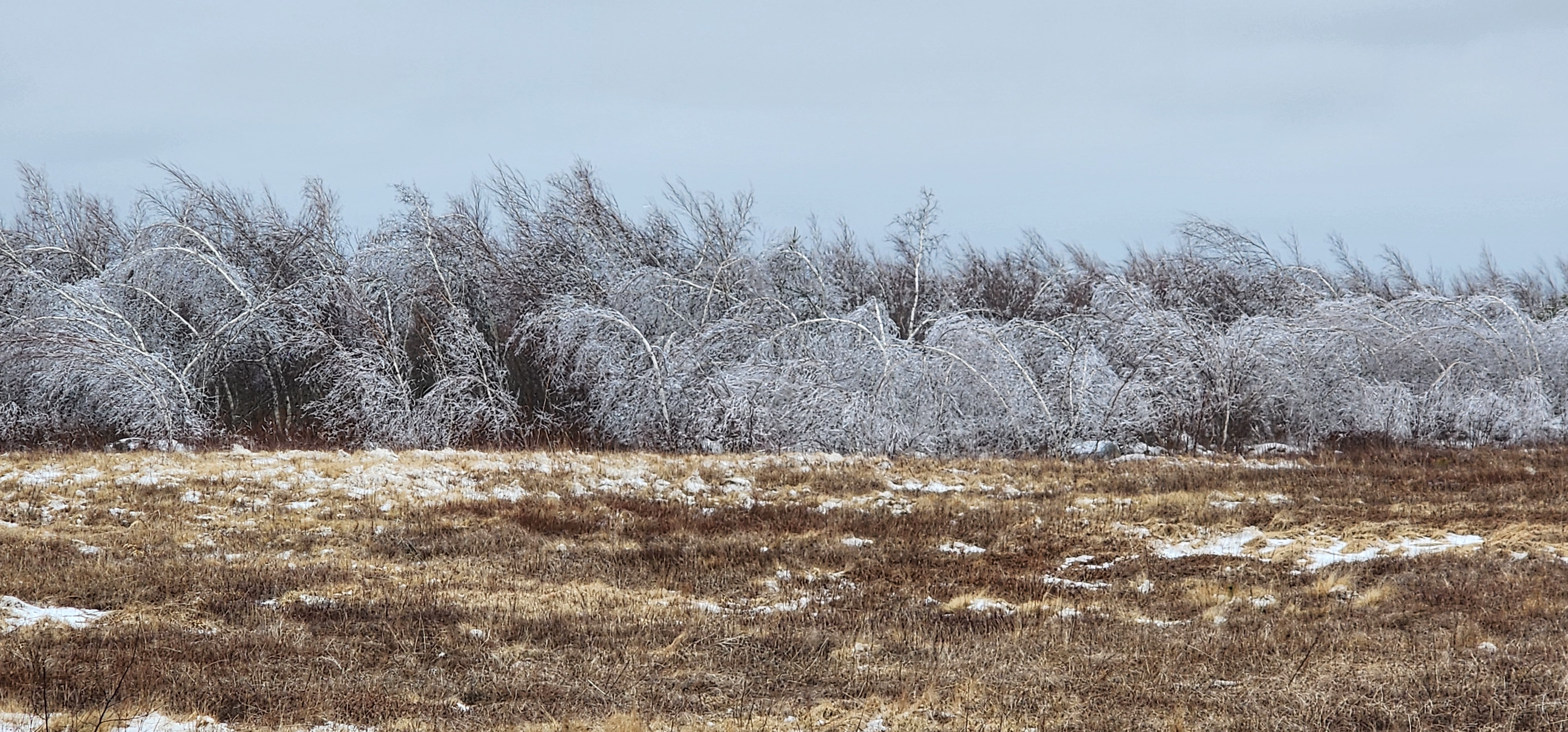 Ice storm as frozen waves – Jnana's Red Barn
