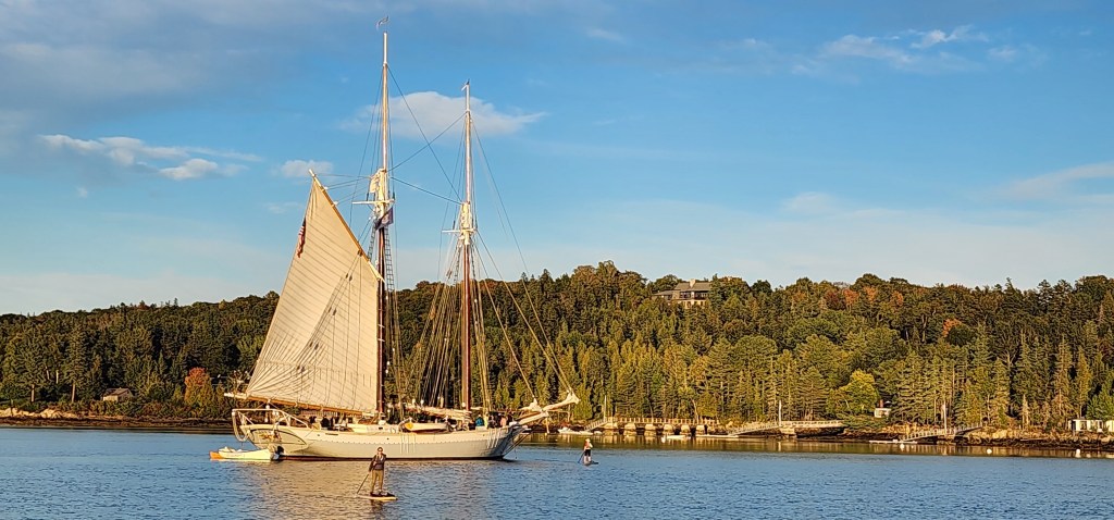 Jnana's Red Barn – You never know what we'll churn up in cleaning a stall